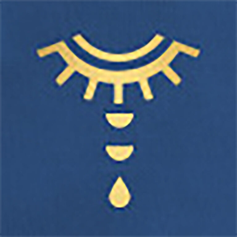 VISIO SPEI EMBLEM CODE - DESTINY.CODES by FOCUSEDLIGHT